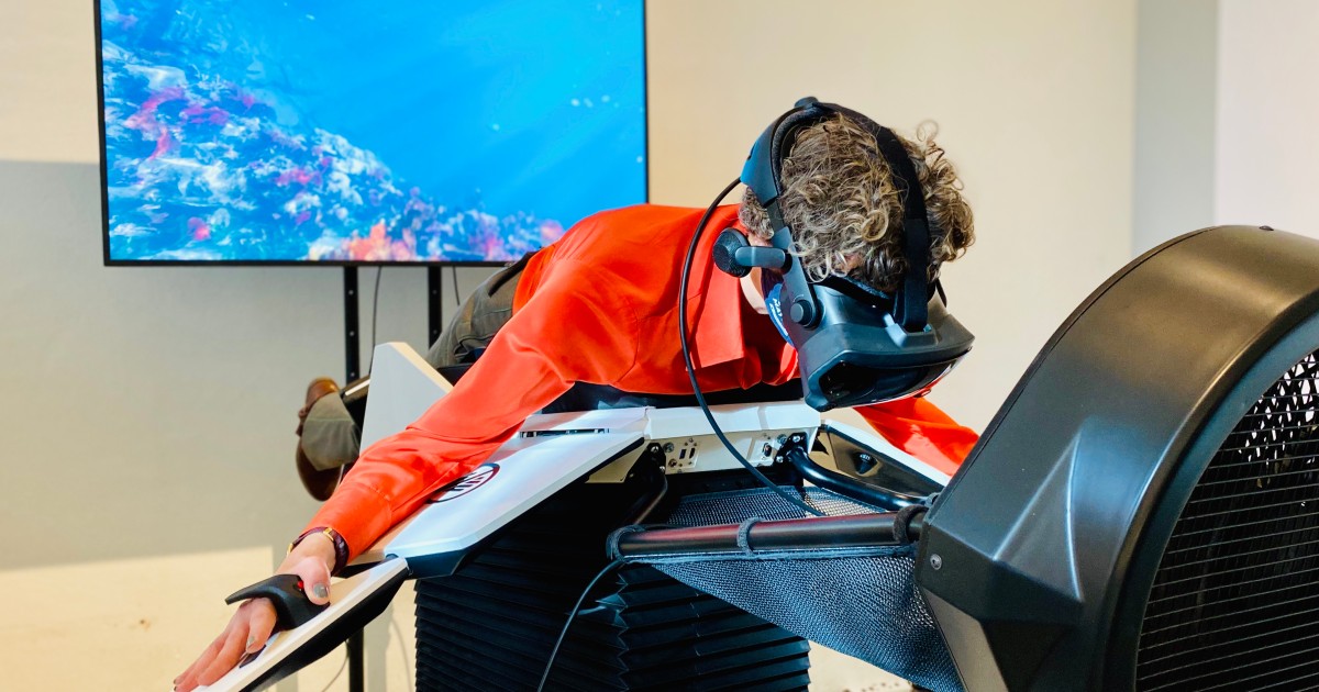 Birdly® I The VR flight experience I TMW